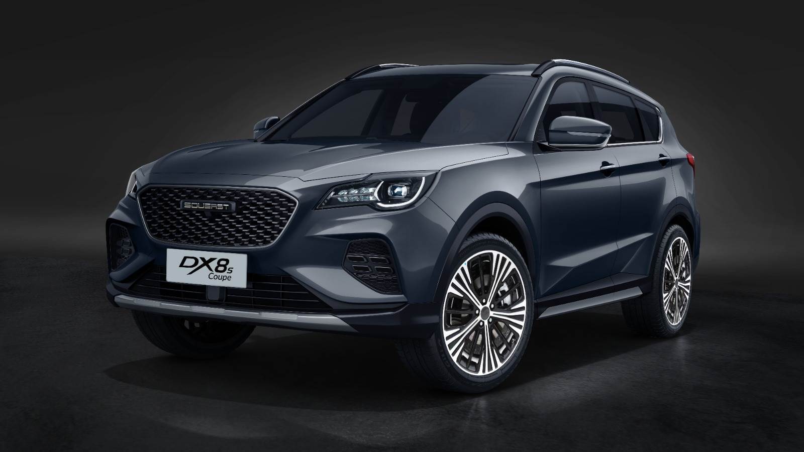 بدء تسليم الحاجزين سيارات ساوايست DX8s بالسعر الرسمي - مارشدير